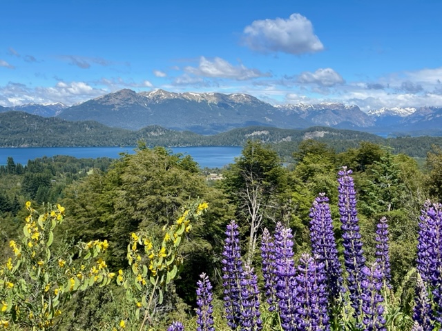 The Melding of Flavors and Friends in Villa Angostura - On the Wing ...